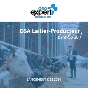 DSA Expert - EN - DSAHR